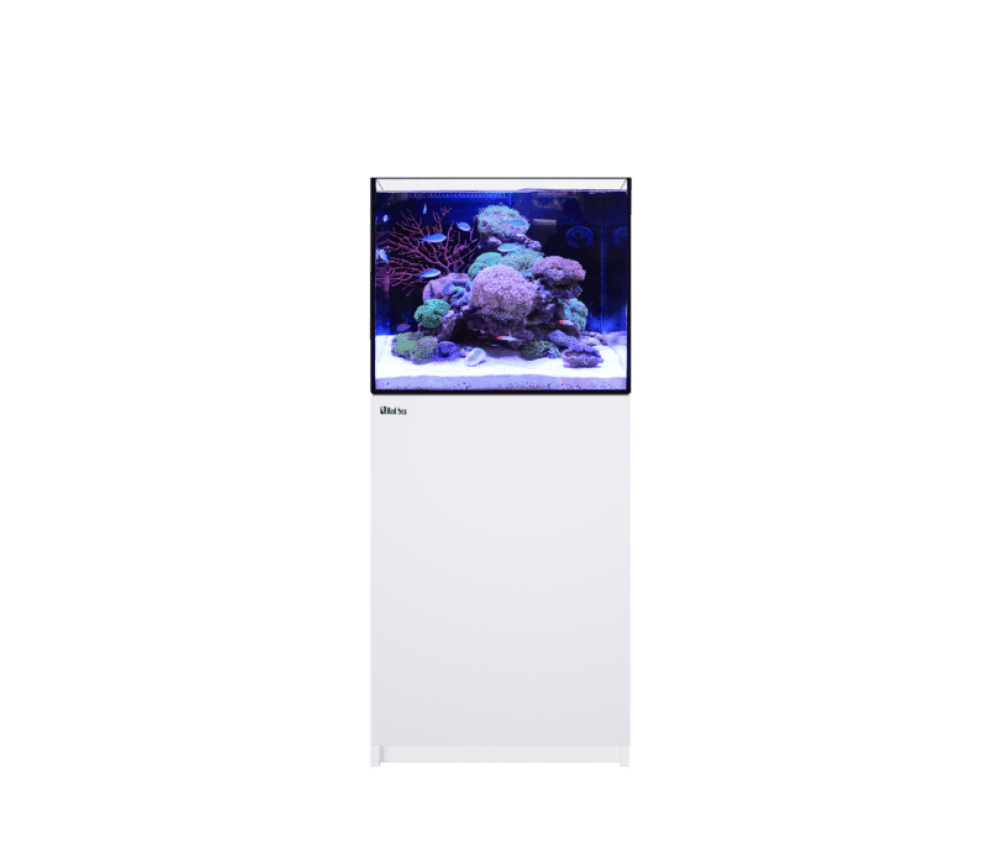 Red Sea - REEFER MAX 170 G3 165L - White - iReef